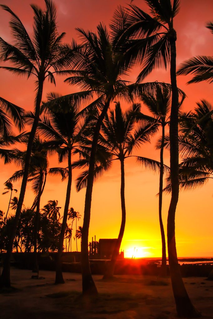 Hawaiʻi Statewide Energy Flowchart - Hawai‘i State Energy Office