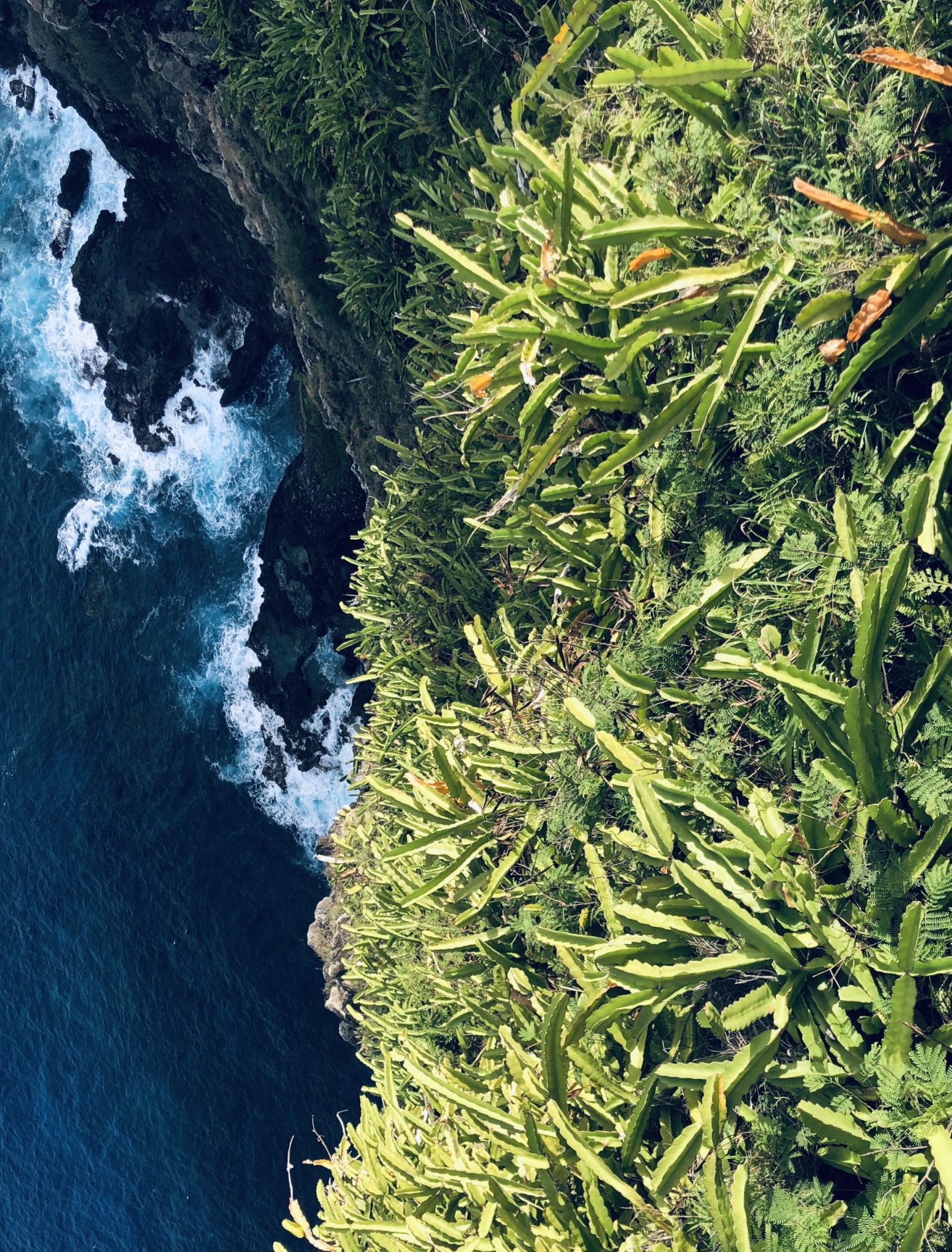 Geothermal - Hawai‘i State Energy Office